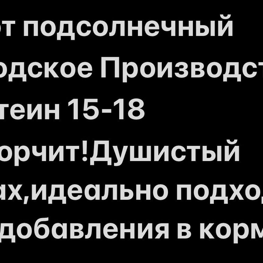 Шрот подсолнечный