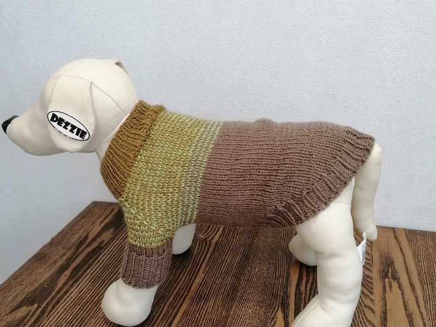 Одежда для кошек и собак