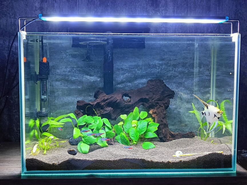 Готовый аквариум