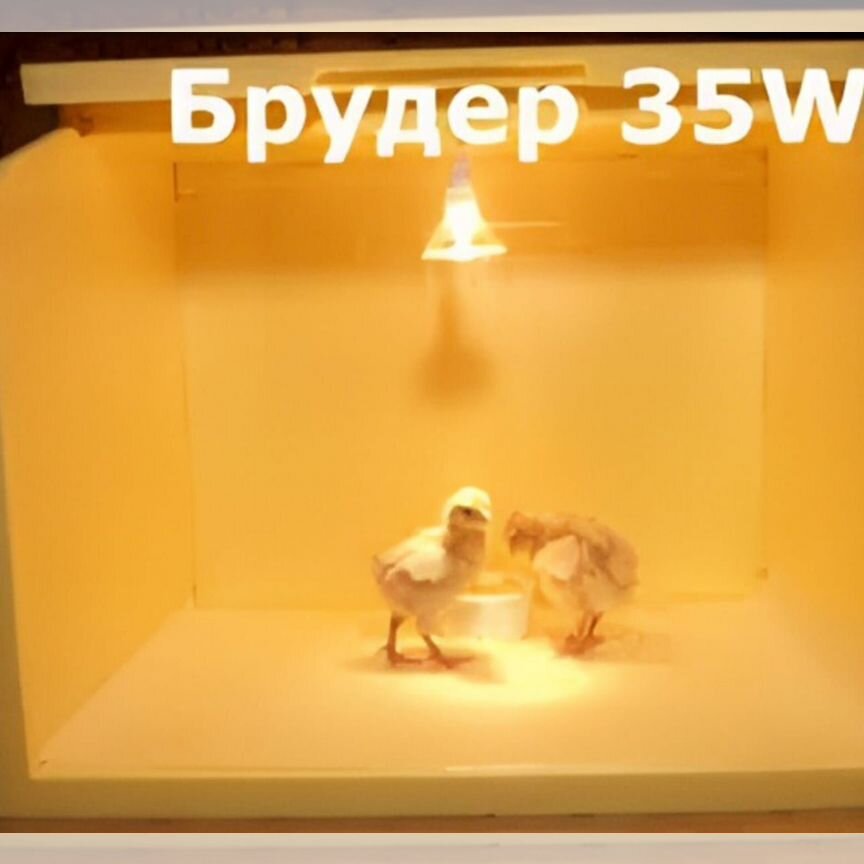 Брудер "sititek HD 35W" в комплекте с поилкой и ко