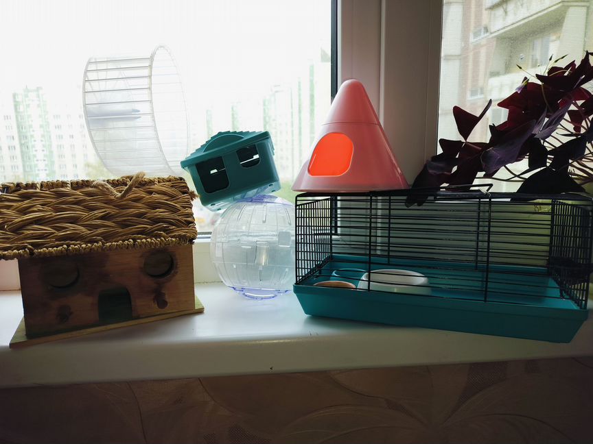 Отдам аксессуары для хомяка/птицы