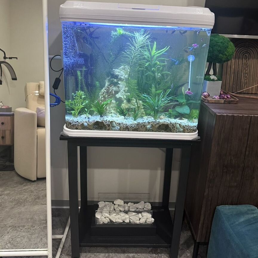 Аквариум 80л  (тумба,оборудование,рыбки,растения)