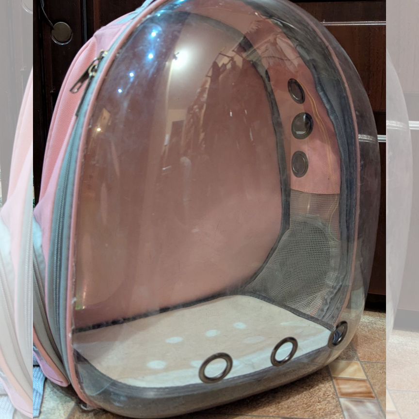 Переноска для кошек