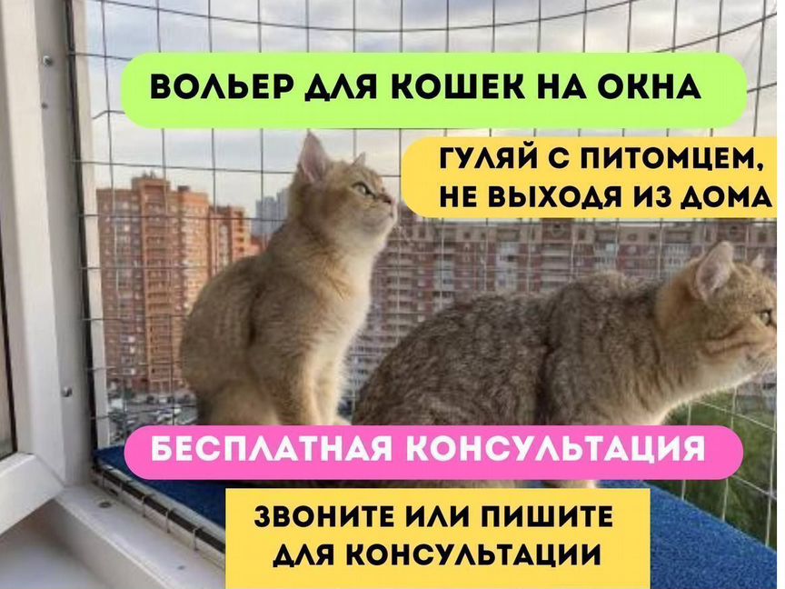 Балкон для кошек