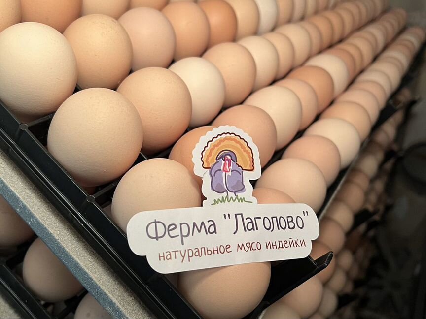 Инкубатор Стимул 4000 + Генератор резервный