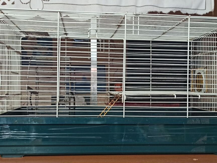 Клетка для грызунов бу