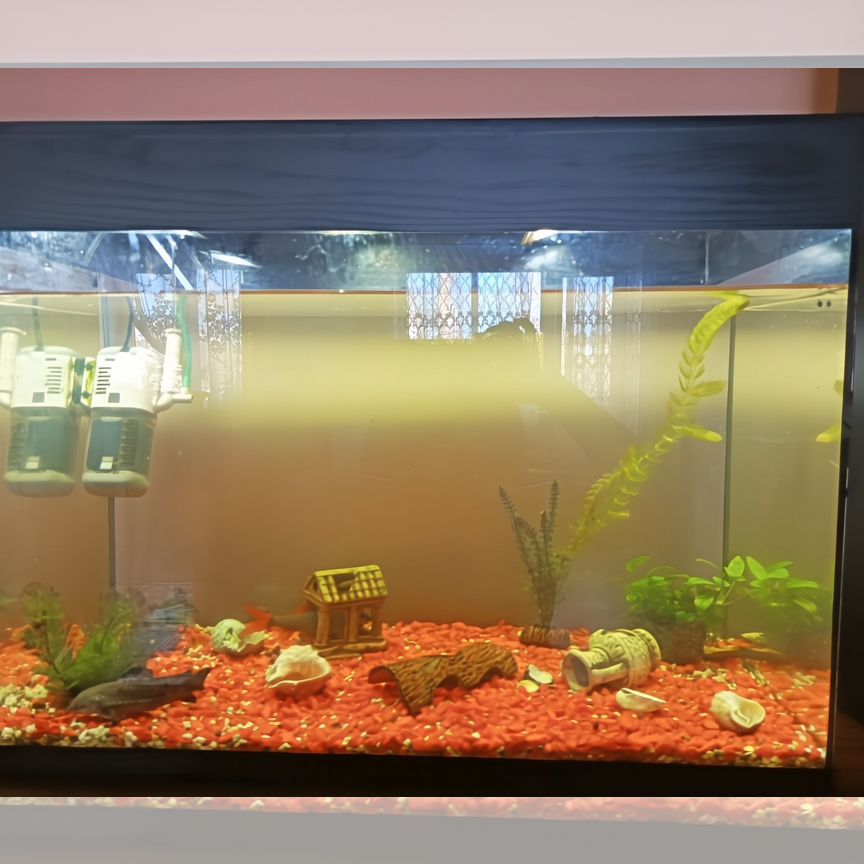 Аквариум с рыбками