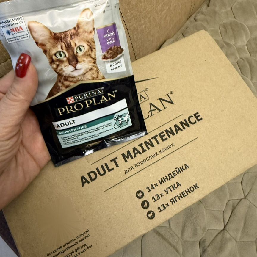 Корм для кошек pro plan adult maintenance