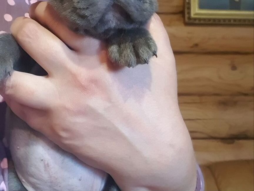 Голубое счастье