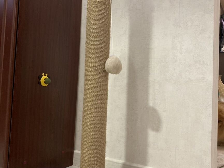 Когтеточка