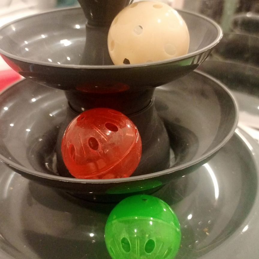 Кошачья игрушка