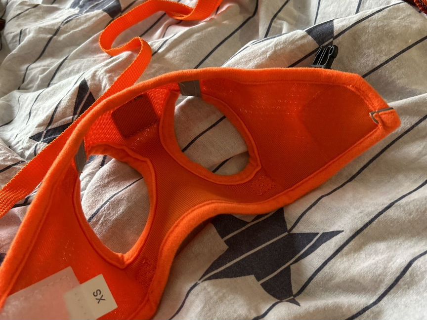 Шлейка для собаки, намордник, шлейка для хорька