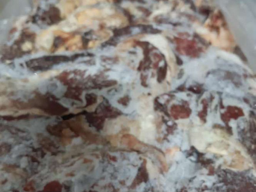 Мяса для корма зверей, собаки