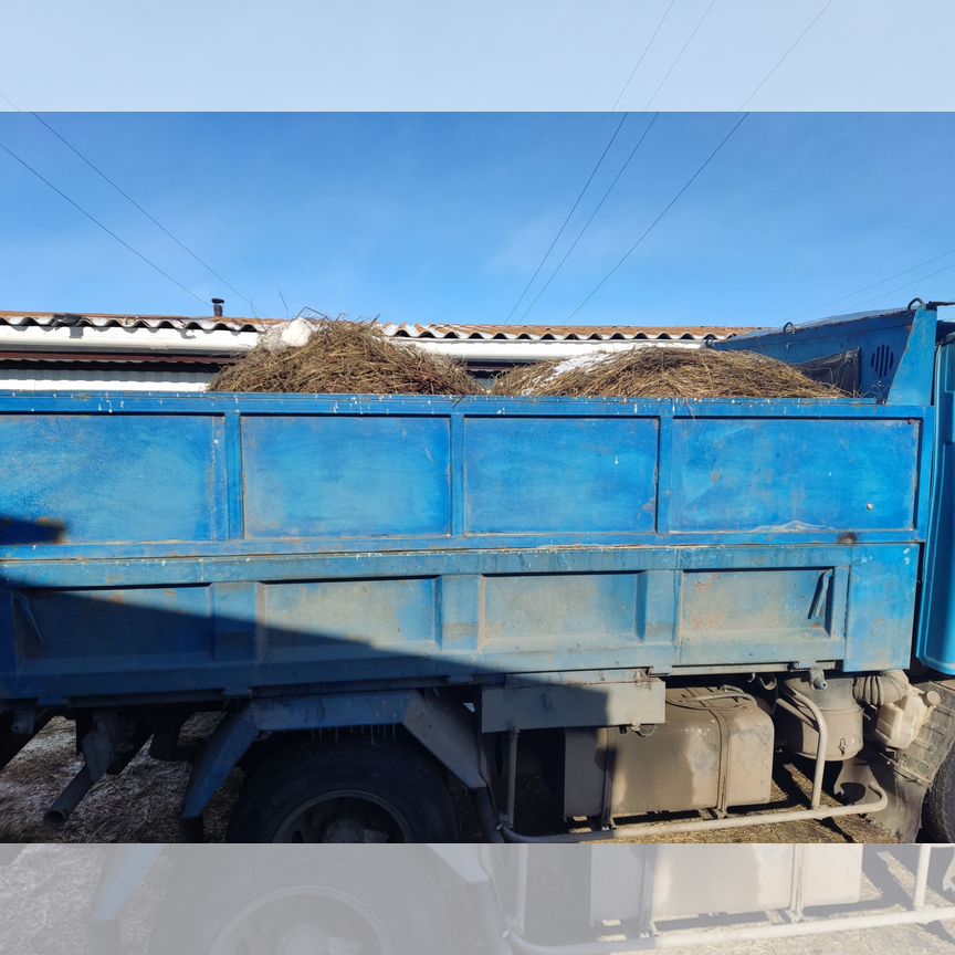 Продам сено в рулонах