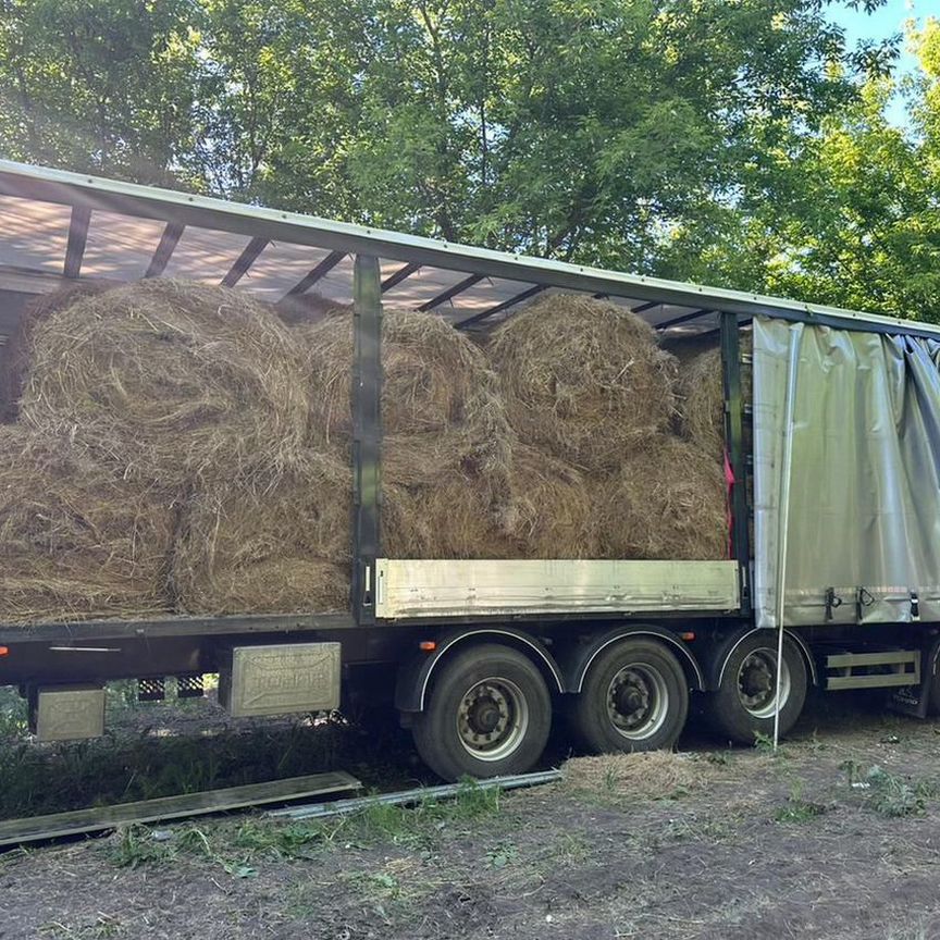 Сено в рулонах