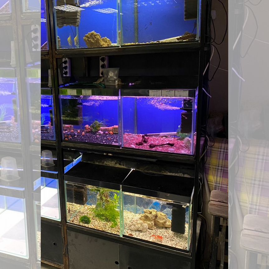 Аквариумная стойка на 6 акв по 70л