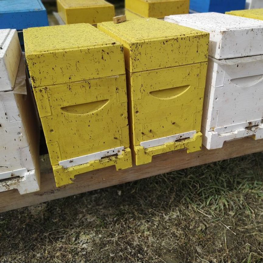 Пчелоинвентарь