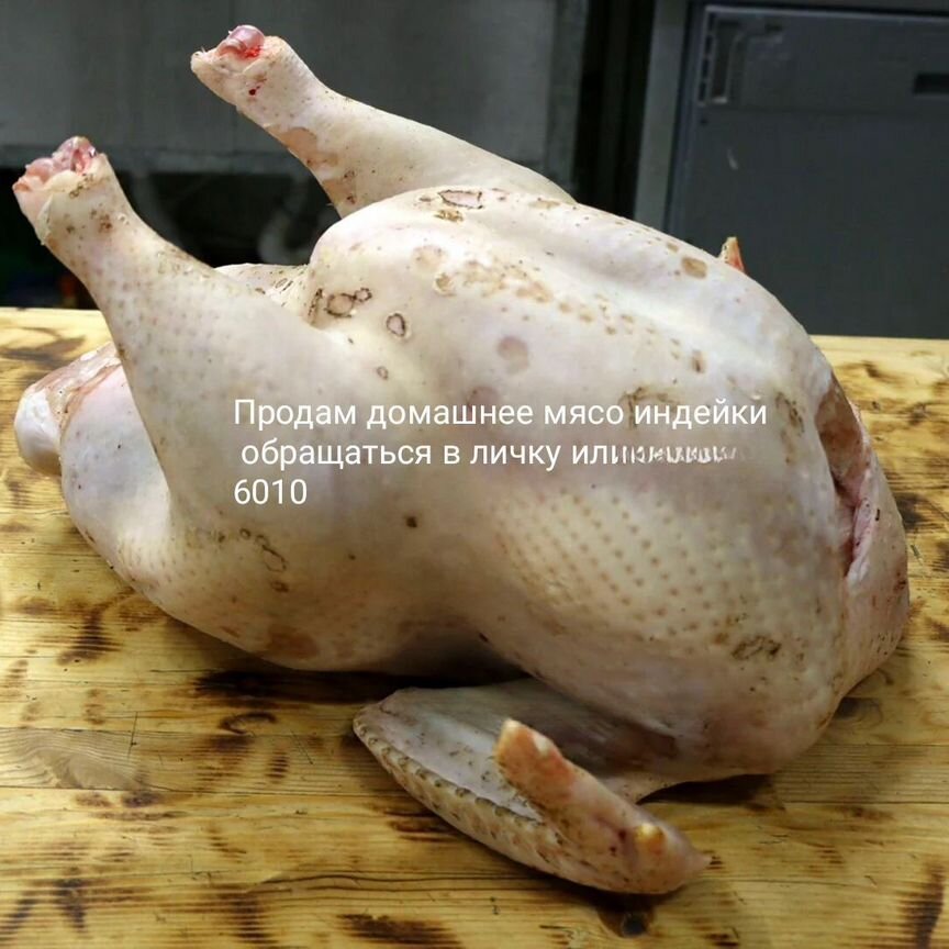 Мясо домашней индейки