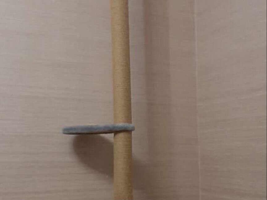 Когтеточка до потолка