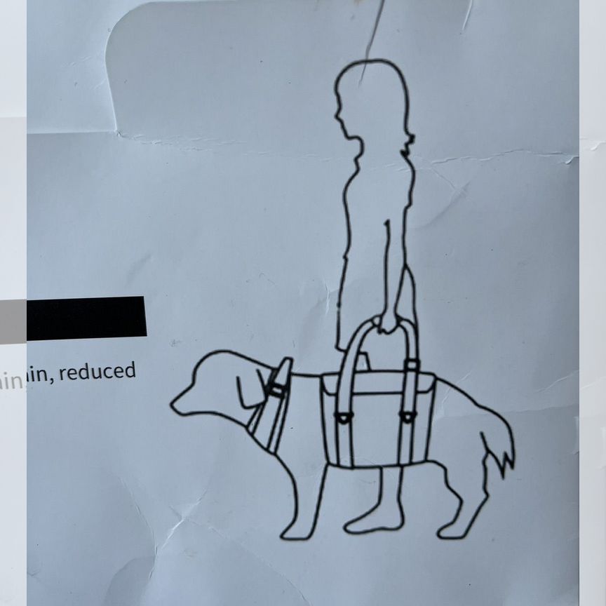 Корсет ходунки для собаки до 25 кг