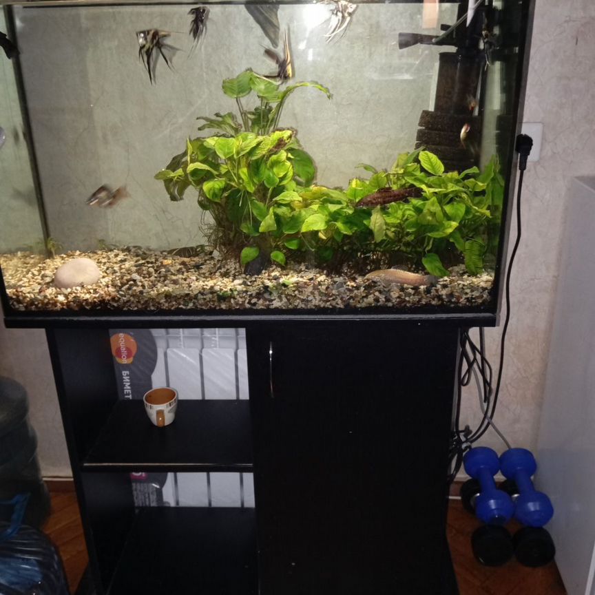 Аквариум с тумбой 120 литров