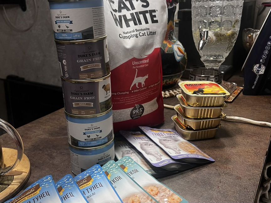 Корм и наполнитель для котов