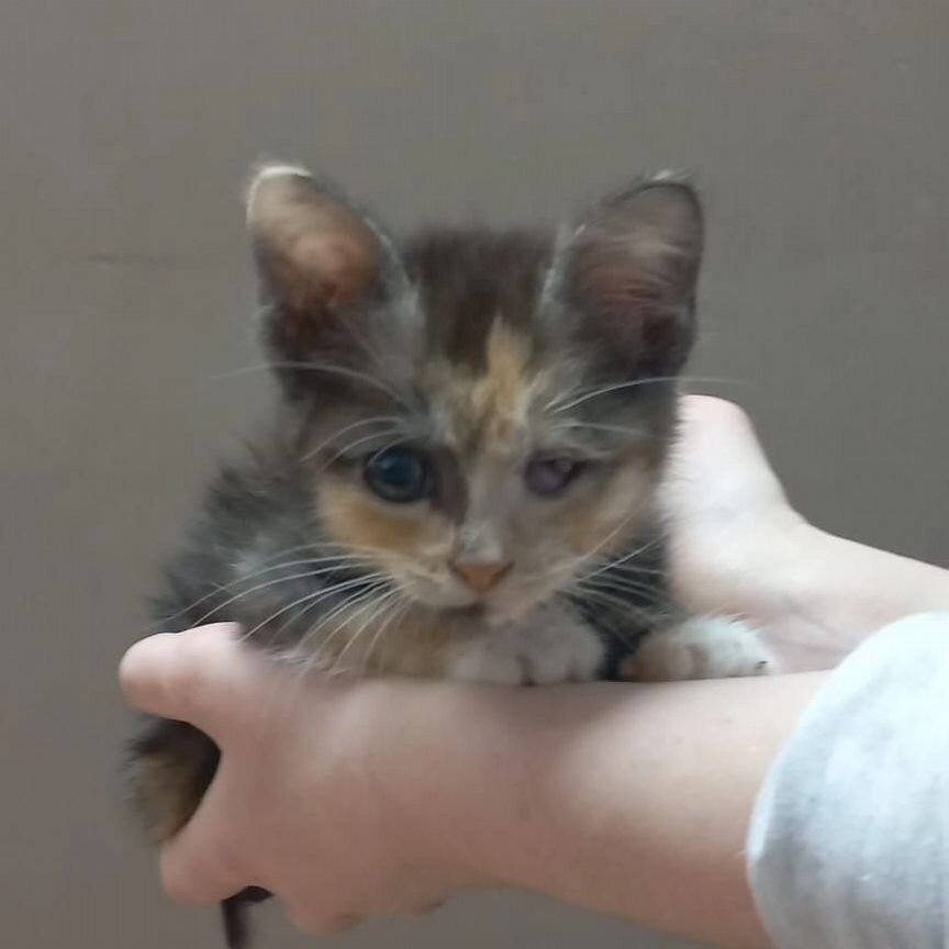 Малышка хочет домой