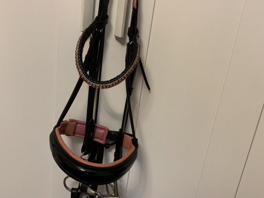 Трензель пелям рычажный