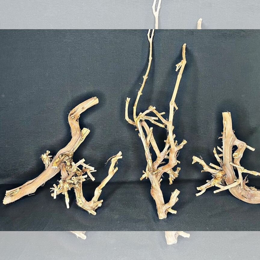 Коряги из виноградной лозы