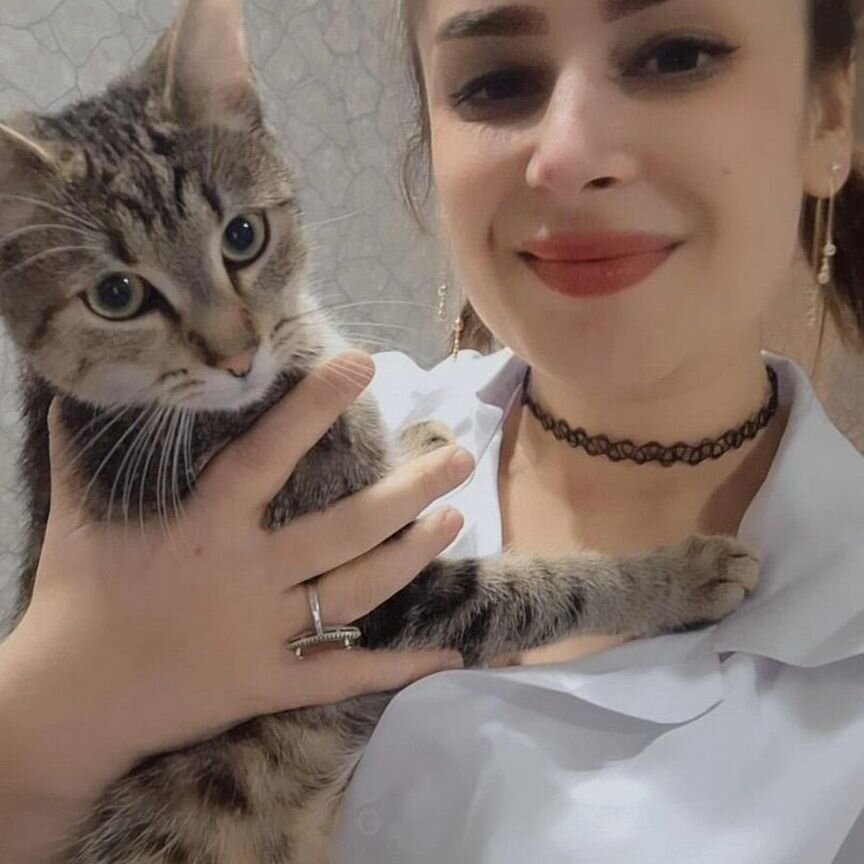 Отдам котенка в добрые руки,девочка