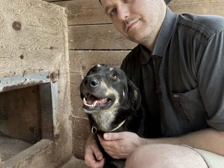 Замечательному Каштану нужен дом