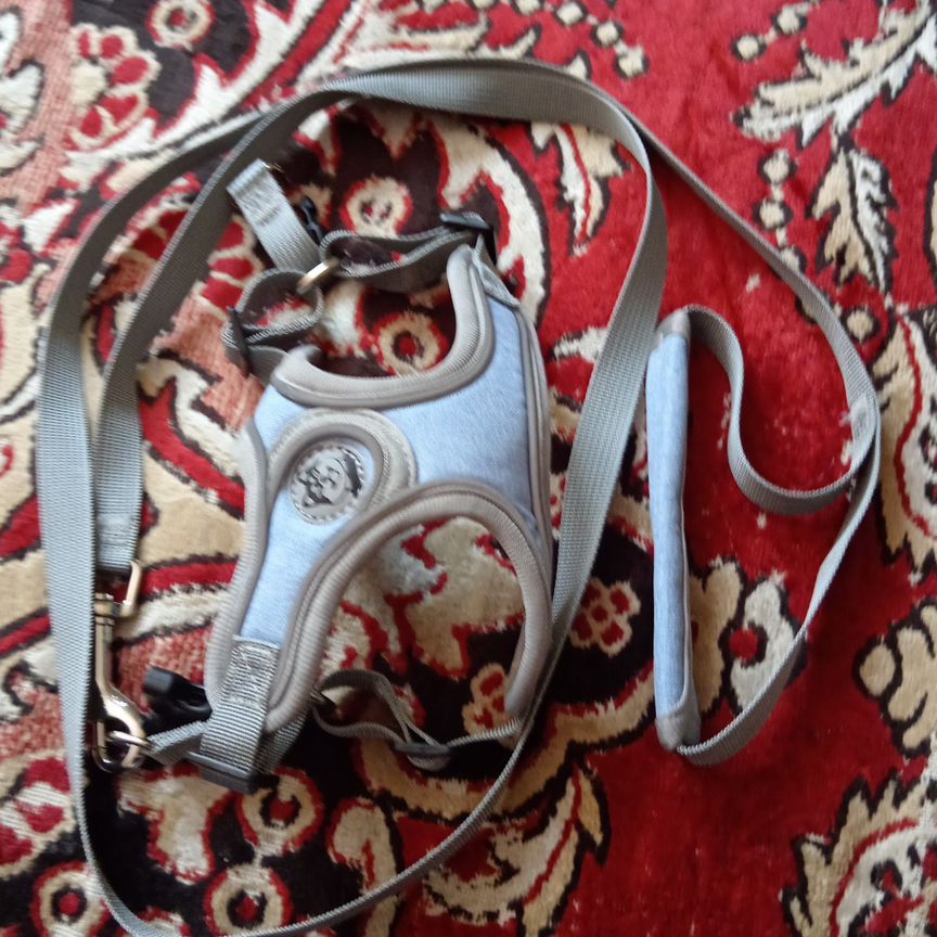 Ошейник с поводком