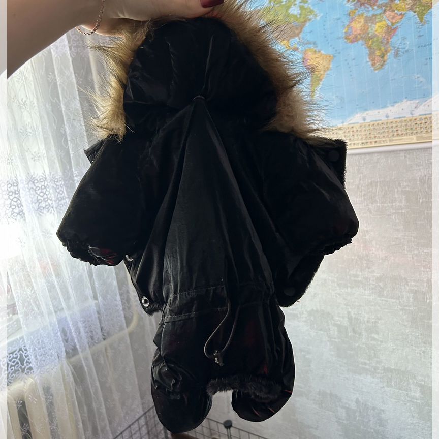 Одежда для собак