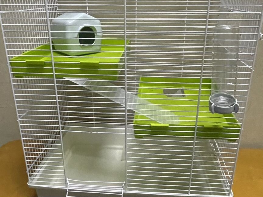 Клетка для грызунов крыс хомяков ferplast