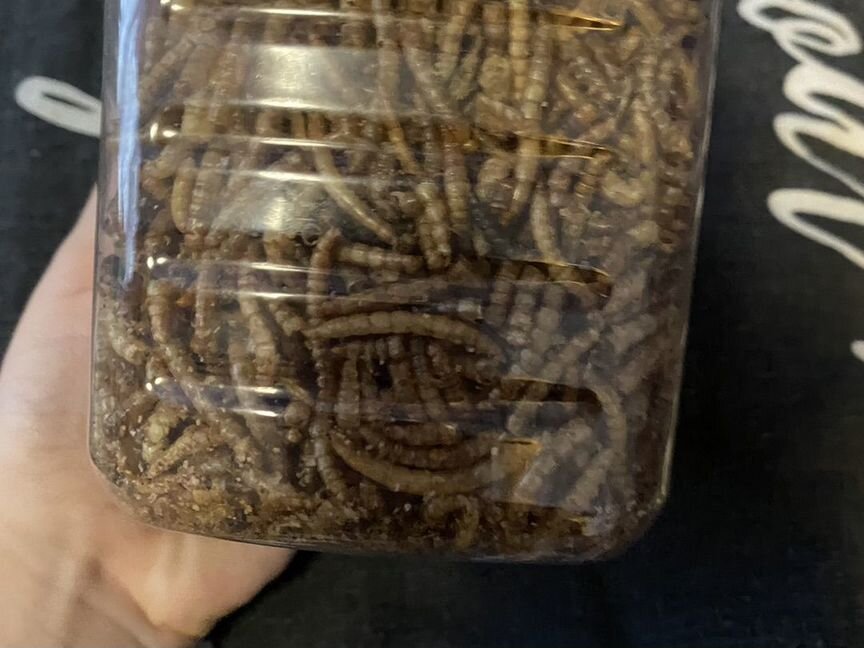 Лакомство для грызунов