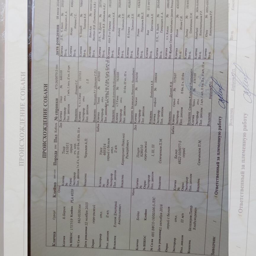 Продам лайку зсл