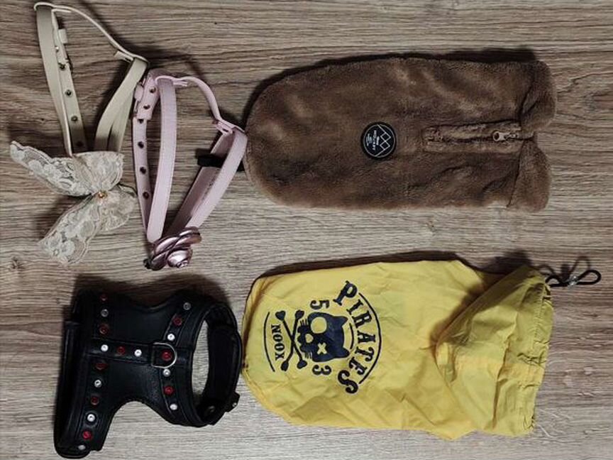Одежда, шлейка для собак xs