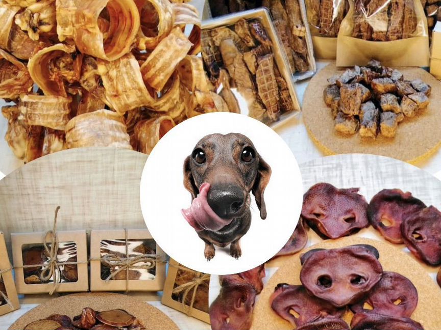 Лакомства для собак