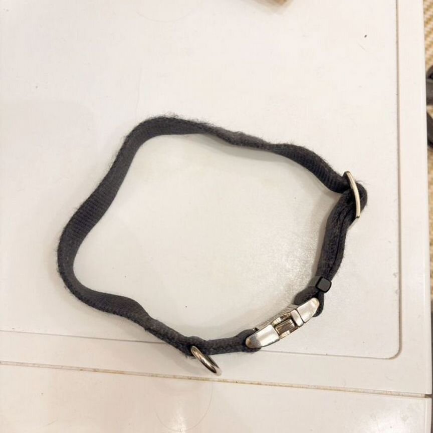 Ошейник для собак бу