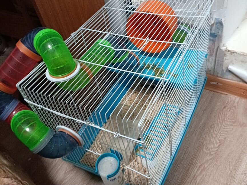 Клетка