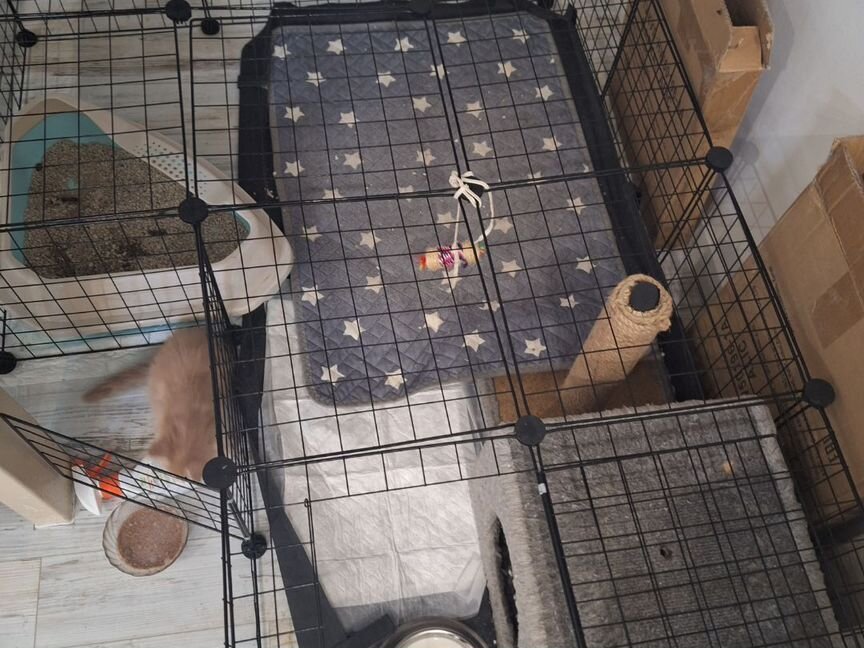 Вольер для домашних животных