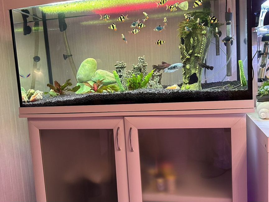 Аквариум с тумбой 200л