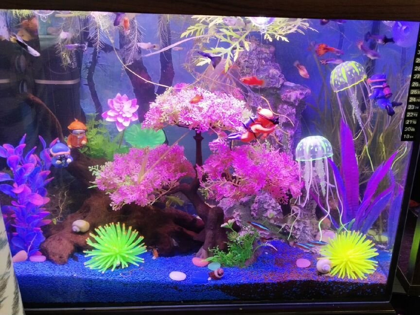 Аквариум с тумбой 60л