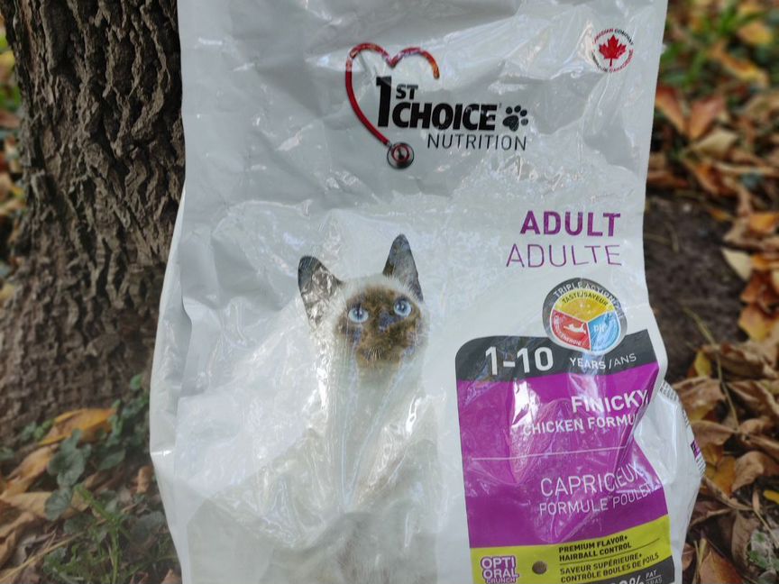 Корм для кошек 1st Choice
