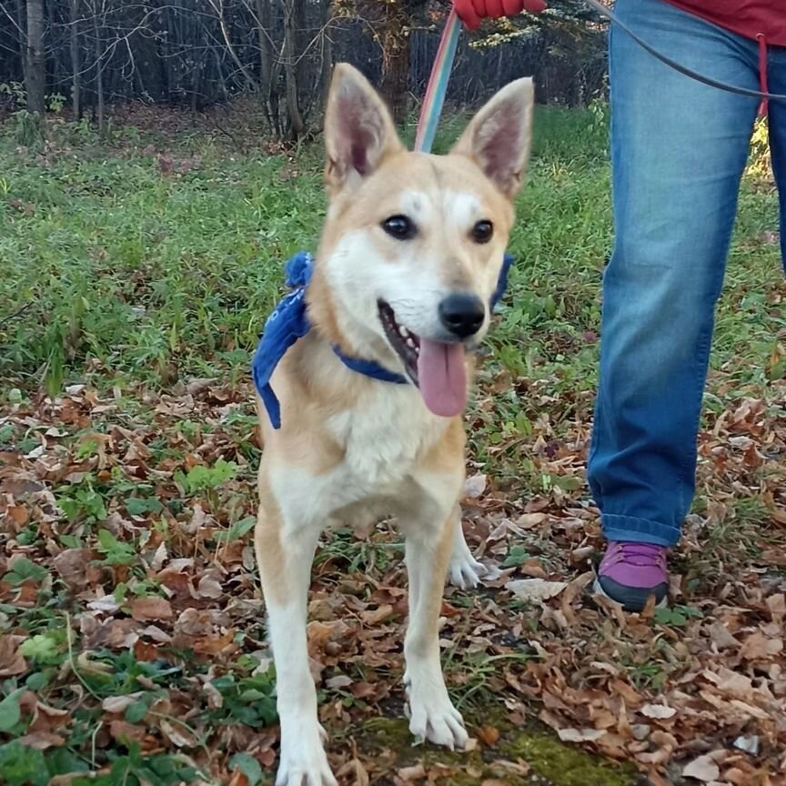 Спасите малышку из приюта