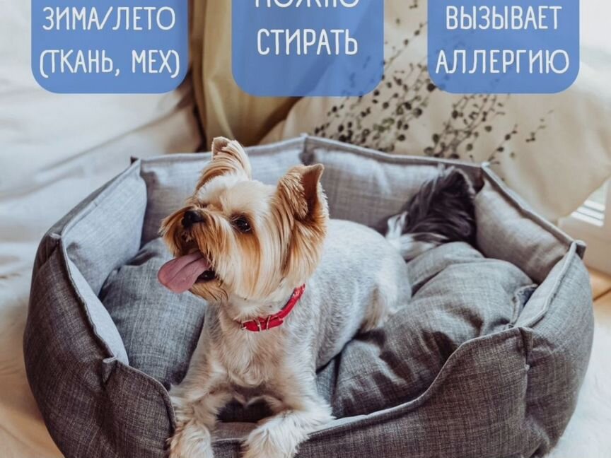 Лежанка для мелких и средних пород собак и кошек