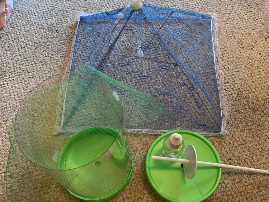 Бабочкарий