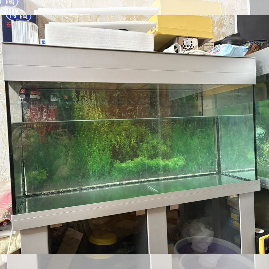 Аквариум с тумбой 300 литров