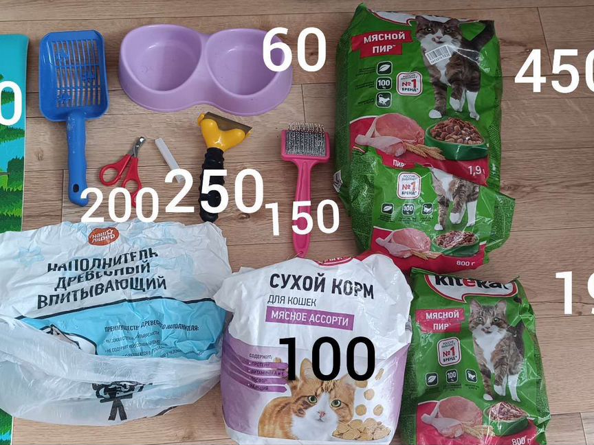 Все для кошек