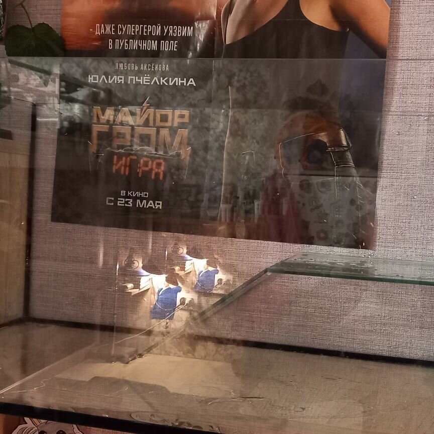 Акватеррариум для красноухой черепахи